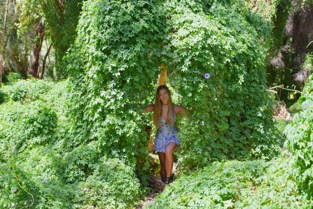 The Secret Garden in Perth - Visitors Guide - Destinationless Travel