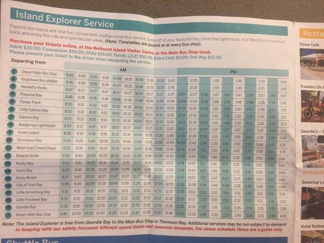 Rottnest Island Day Trip: All You Need to Know - Destinationless Travel