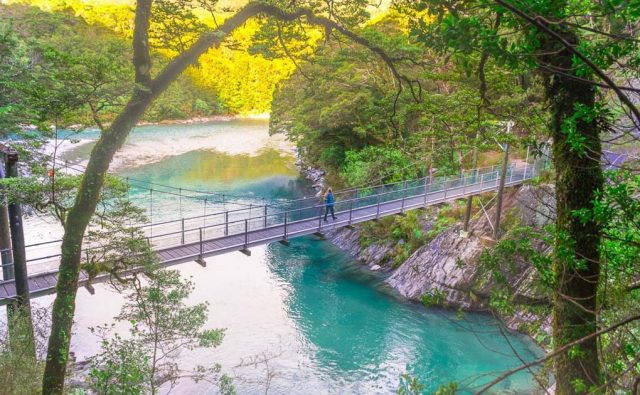 ULTIMATE Guide to Visiting the Blue Pools, New Zealand