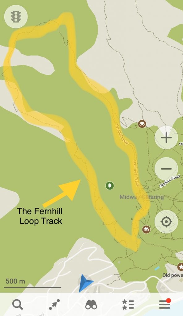 Hiking the Fernhill Loop Track - Know Befiore You Go Hiking Guide