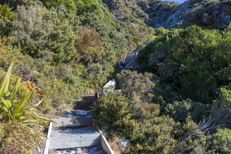 ULTIMATE Guide to Hiking the Sealy Tarns Track
