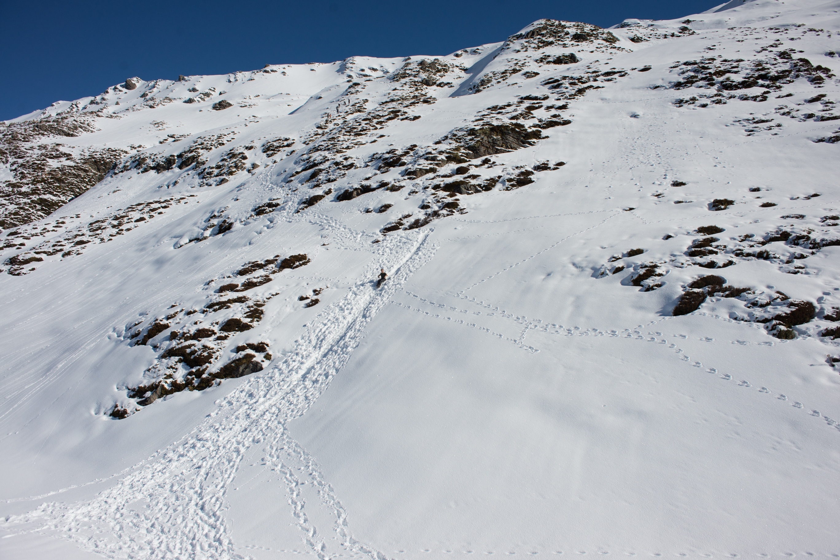 Tackling 2,200 Stairs on the Sealy Tarns Track - A Complete Hiking Guide