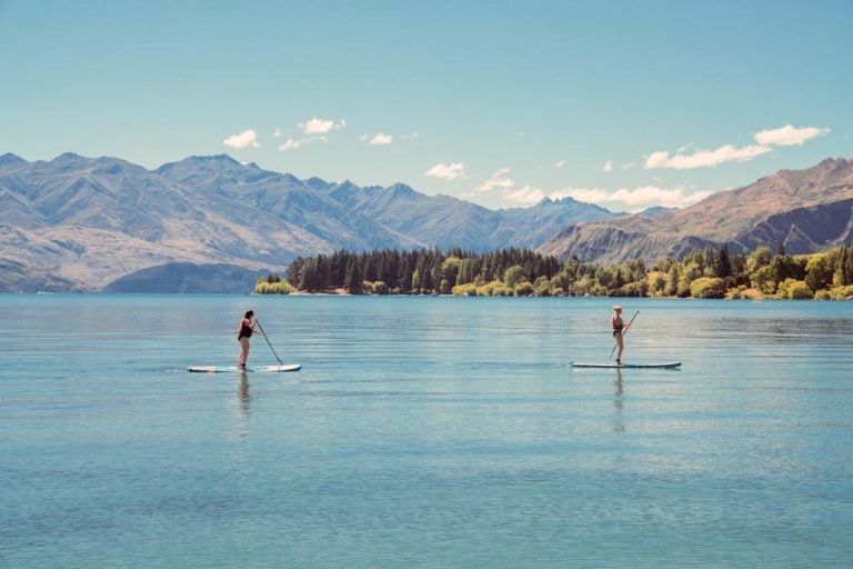 The Truth about the Wanaka Tree - What You Need to Know Before Visiting