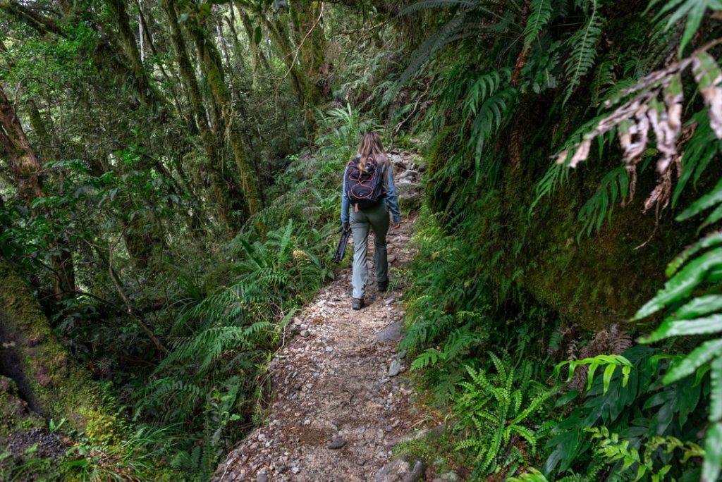 Lake Marian Track - A Guide to the Trail & Know Before You Go