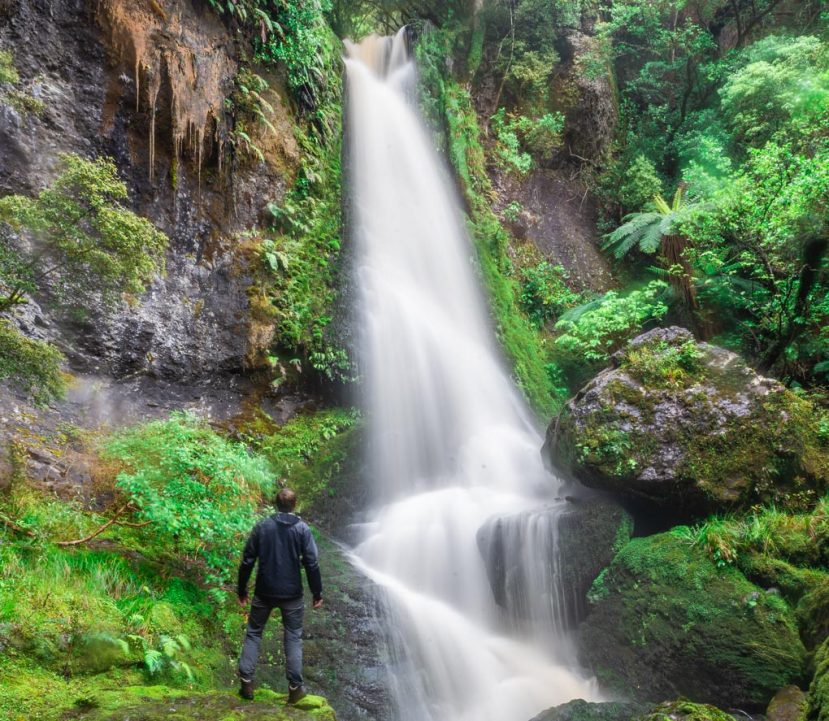 The Best (and Worst) Catlins Waterfalls - COMPLETE Guide