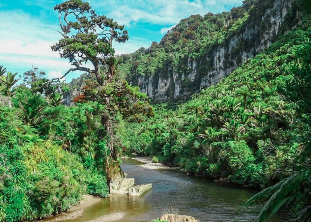 12 Awesome Things to do in Punakaiki, New Zealand (2024 Guide!)