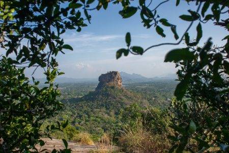 10 Best Things to do in Dambulla, Sri Lanka (and city guide!)