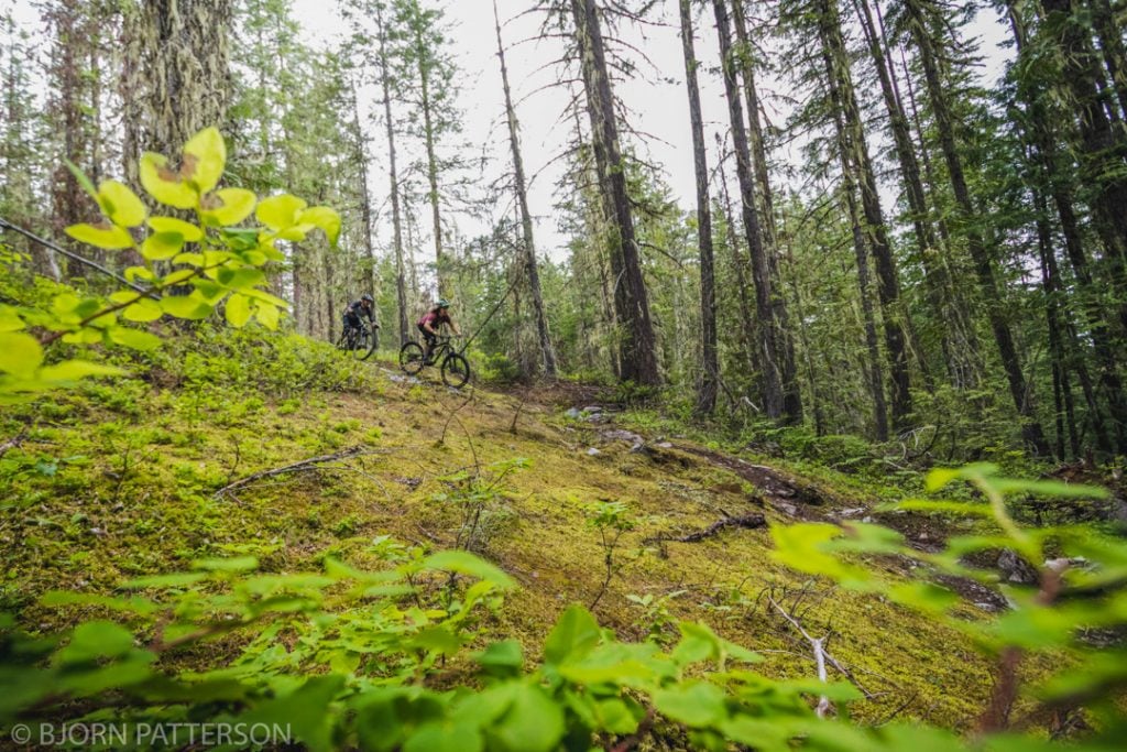14 Awesome Things to do in Revelstoke, BC - Destinationless Travel