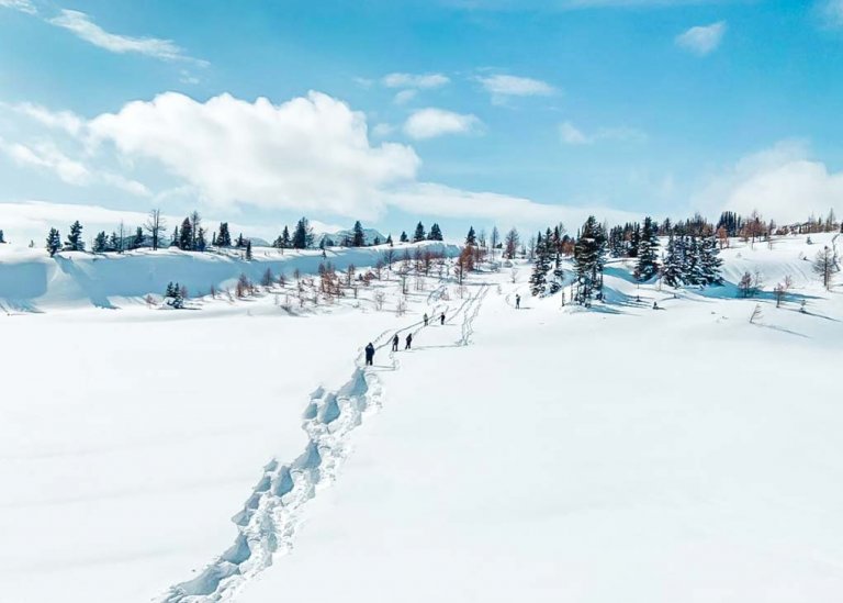 ULTIMATE Guide to Enjoying the Christmas Season in Banff (2021)