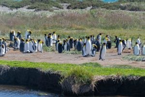 22 Amazing Things to do in Patagonia – Our Patagonia Highlights