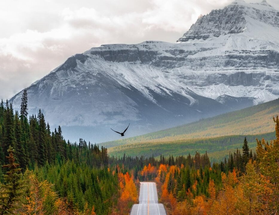 15 BEST Stops on the Icefields Parkway you can visit in 1-Day!