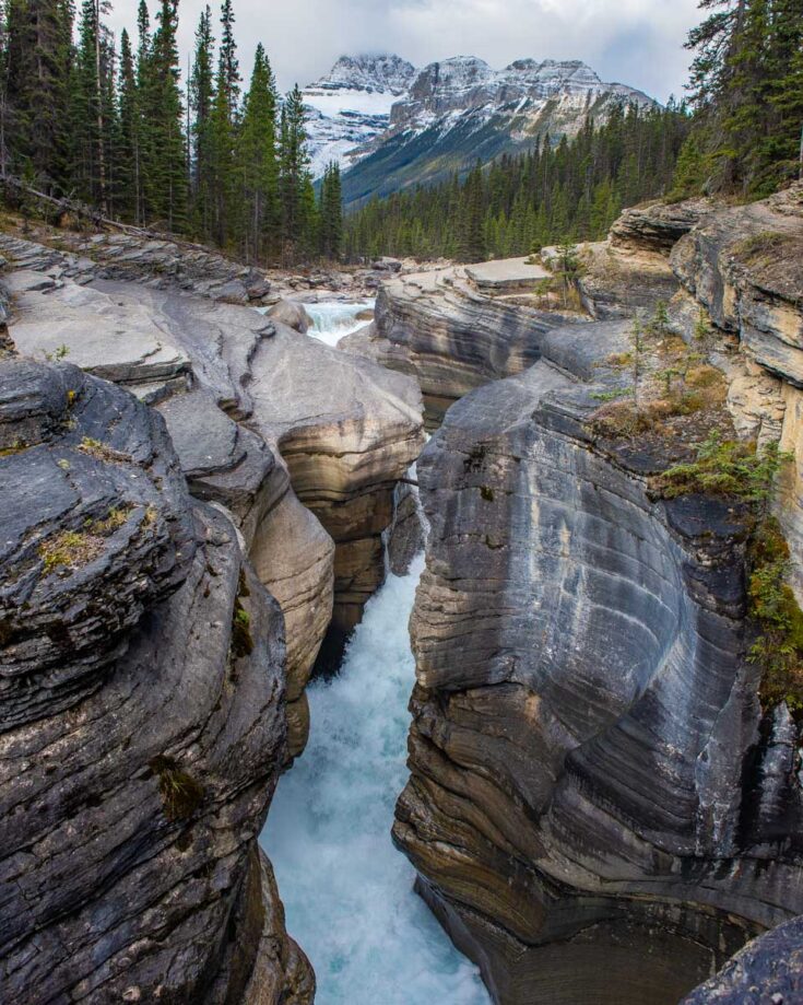 15 BEST Stops on the Icefields Parkway you can visit in 1-Day!