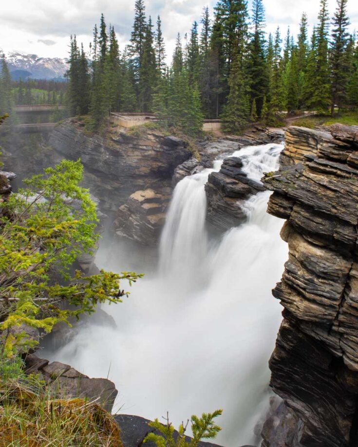 13 Things to KNOW Before Visiting Athabasca Falls, Jasper