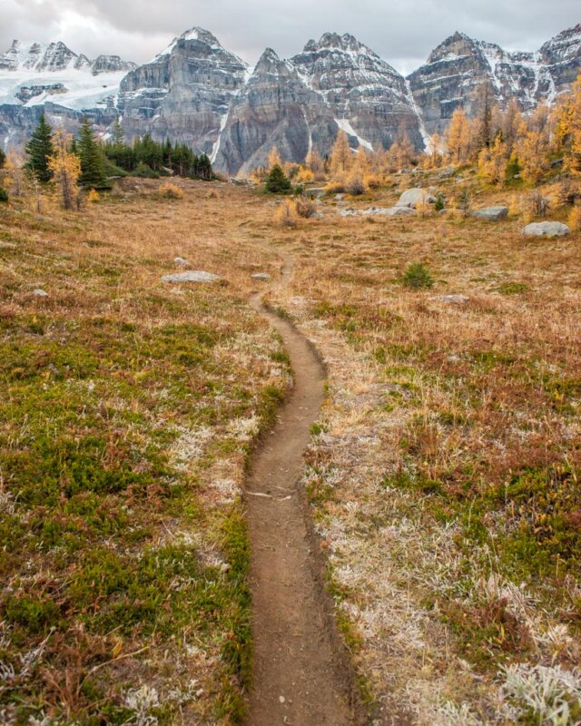 COMPLETE Guide to the Larch Valley Hike (2026 Updated Info!)