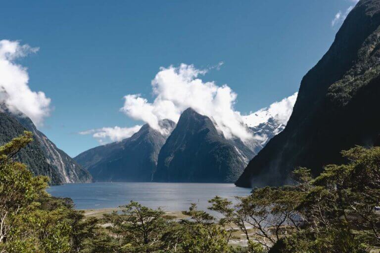 ULTIMATE Guide to Visiting Milford Sound in Winter (2024 Guide!)
