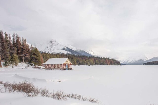 ULTIMATE Guide to Visiting Jasper in December - Destinationless Travel