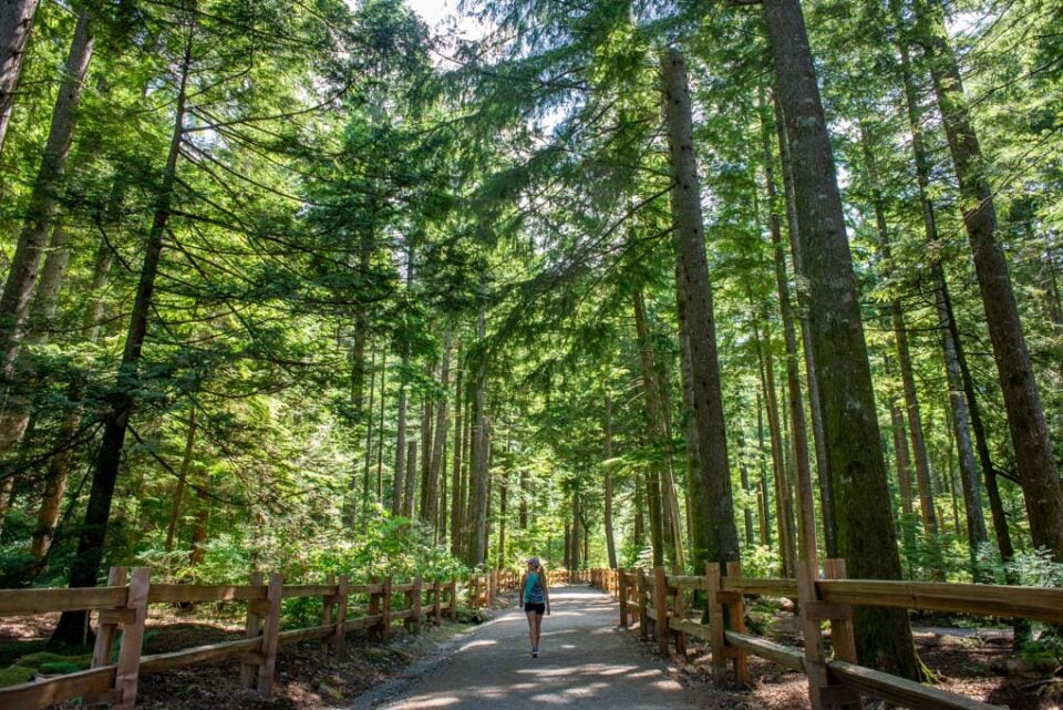 15 Easy Day Hikes in Vancouver, BC (2024 Guide for Beginners ...
