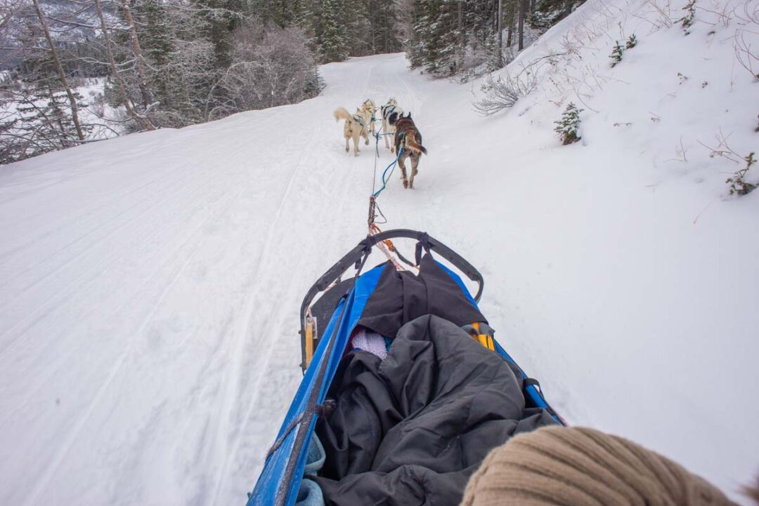 17 Epic Things to do in Revelstoke in Winter - Destinationless Travel