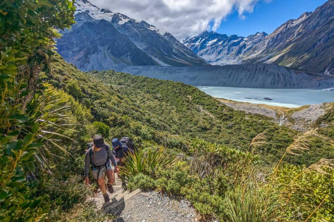 ULTIMATE Guide to the Mueller Hut Hike in 2026!