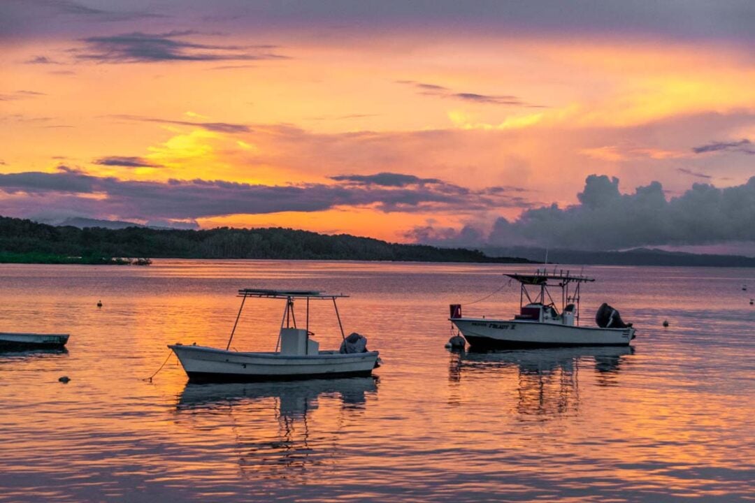10 BEST Things to do in Puerto Jimenez, Costa Rica & Guide to Visiting
