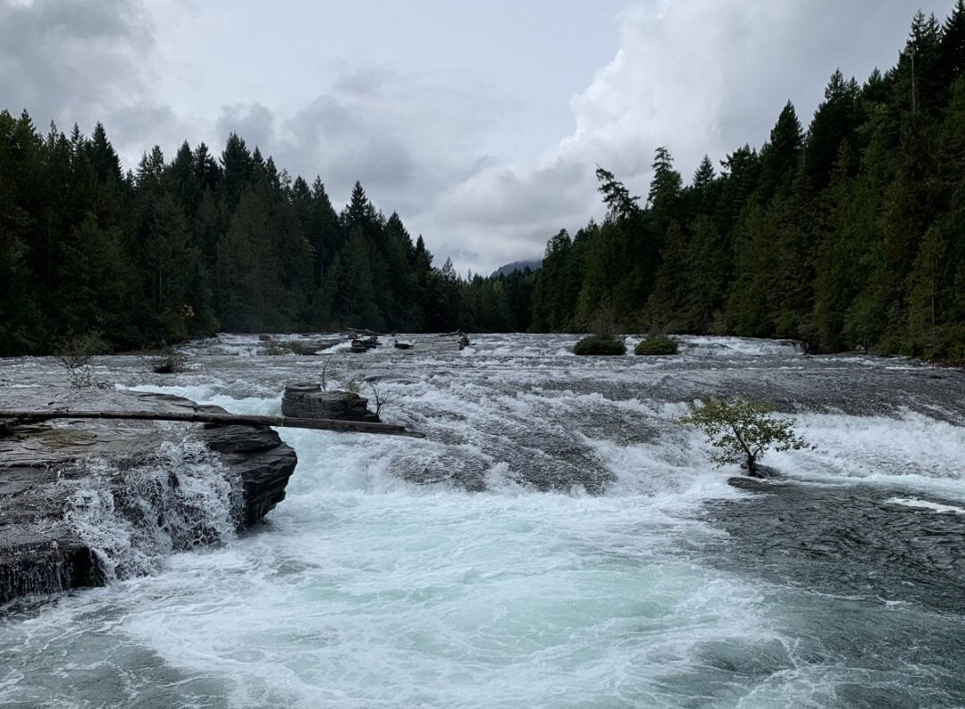 23 FUN Things to do in Courtenay, BC - Destinationless Travel