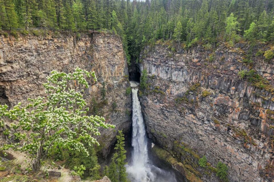 16 BEST Things to do in Clearwater, BC +Complete 2024 Travel Guide!