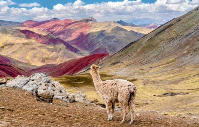 13 Things to KNOW Before Visiting Rainbow Mountain, Peru