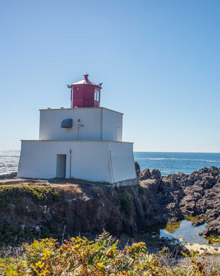 ULTIMATE Guide to Ucluelet, BC +17 EPIC Things to do!