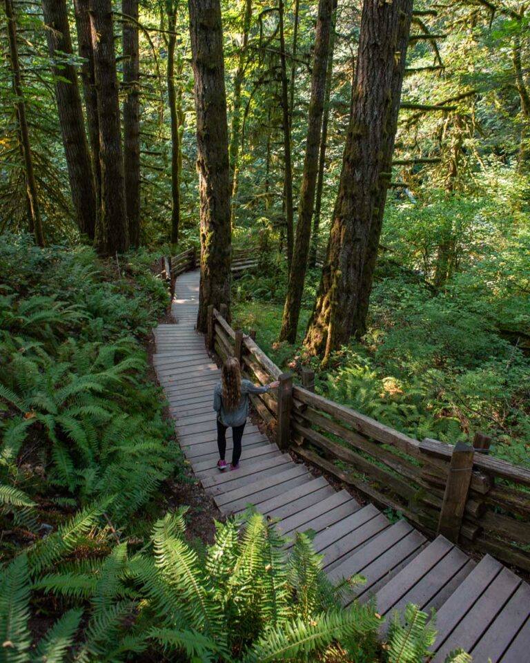 18 BEST Stops on the Drive from Victoria to Tofino (2026 Guide ...