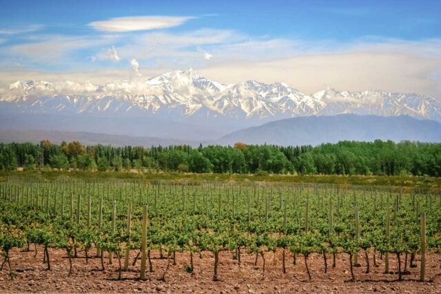 20 BEST Things to do in Mendoza, Argentina +COMPLETE Travel Guide!