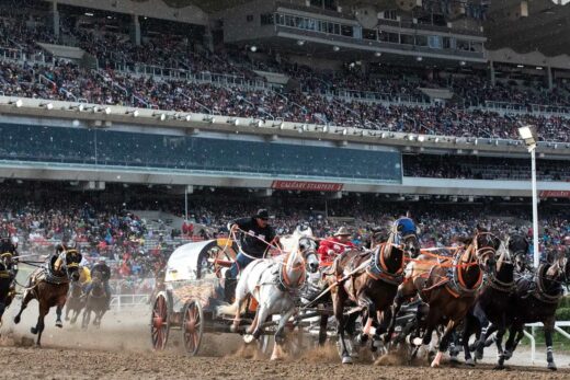 25 Absolute BEST Things to do in Calgary in Summer (2026 Guide ...