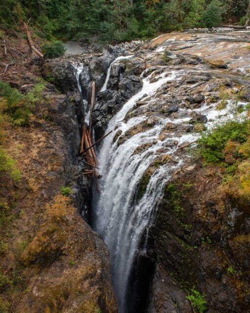 15 BEST Things to do in Qualicum Beach, Vancouver Island