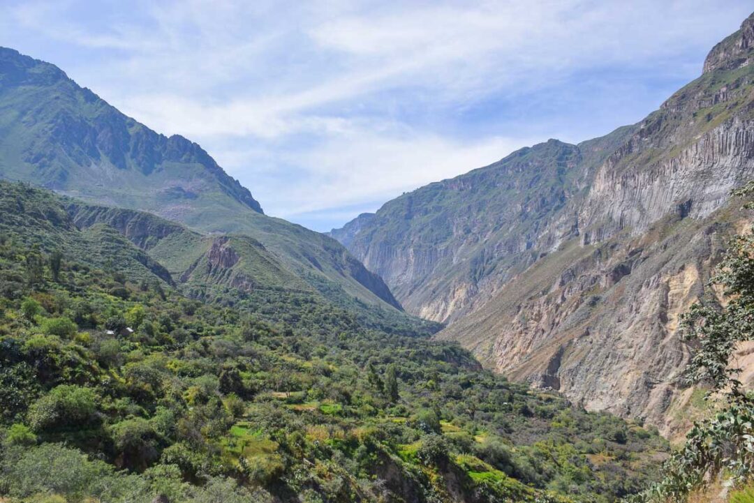 12 Things to KNOW Before Visiting the Colca Canyon, Peru