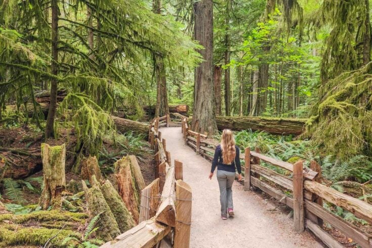 13 Things to KNOW Before Visiting Cathedral Grove, Vancouver Island