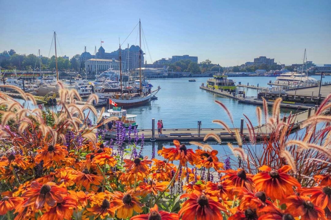18 BEST Stops on the Drive from Victoria to Tofino (2026 Guide ...