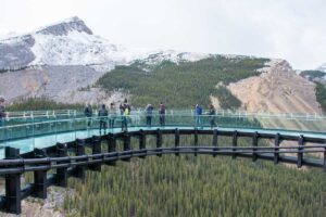 20 Things to KNOW about the Columbia Icefield Skywalk