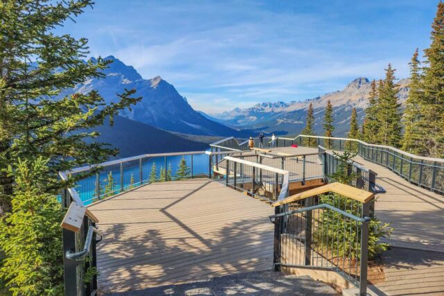 How to Get from Banff to Peyto Lake: Self-Drive or Guided Tours ...