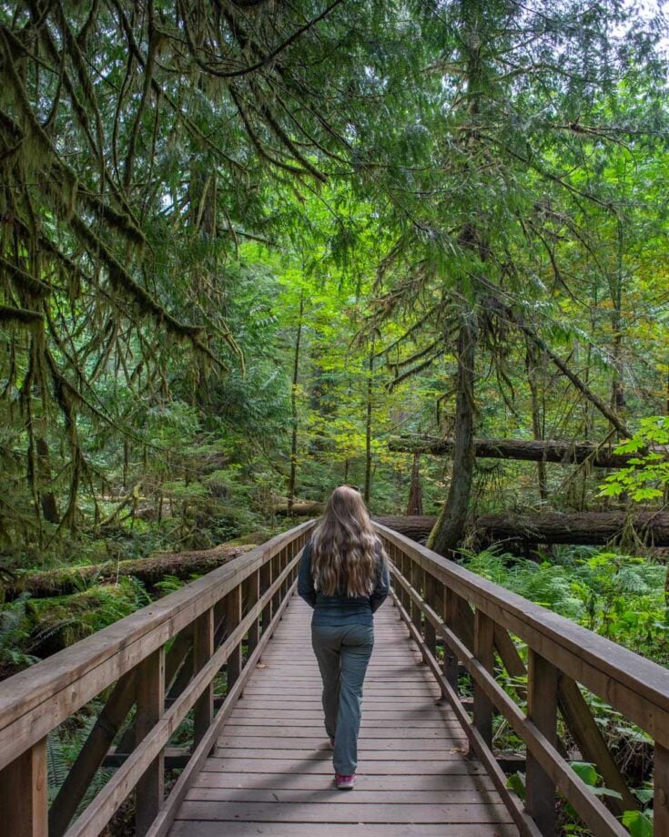 13 Things to KNOW Before Visiting Cathedral Grove, Vancouver Island