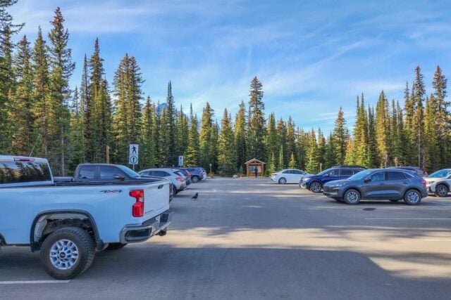 15 Things I wish I knew BEFORE Visiting Peyto Lake