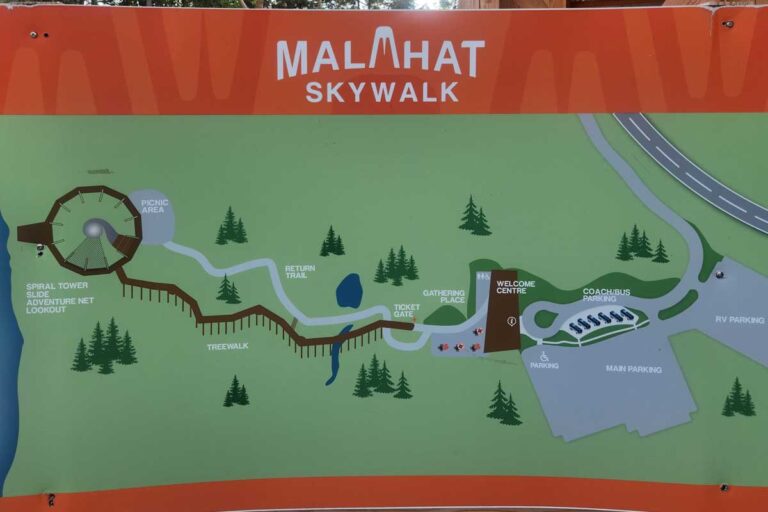 12 Things to KNOW About Visiting the Malahat Skywalk, Vancouver Island
