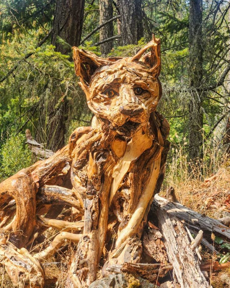 12 Things to KNOW About Visiting the Malahat Skywalk, Vancouver Island