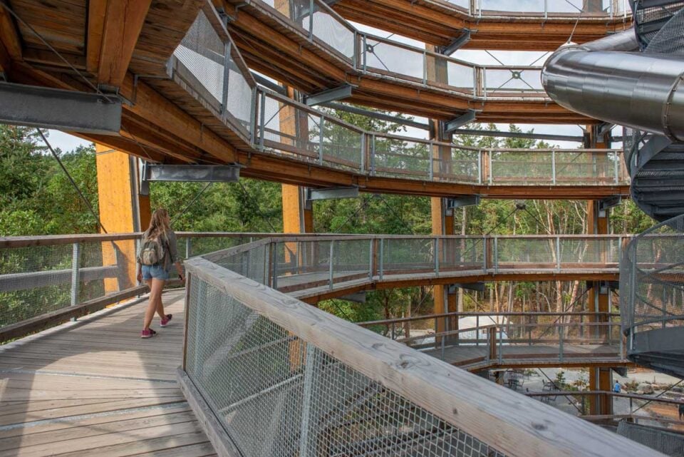 12 Things to KNOW About Visiting the Malahat Skywalk, Vancouver Island
