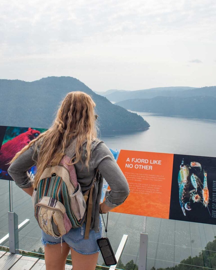 12 Things to KNOW About Visiting the Malahat Skywalk, Vancouver Island