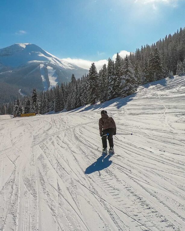 33 FUN Things to do in Fernie, BC (2026 Guide!) - Destinationless Travel