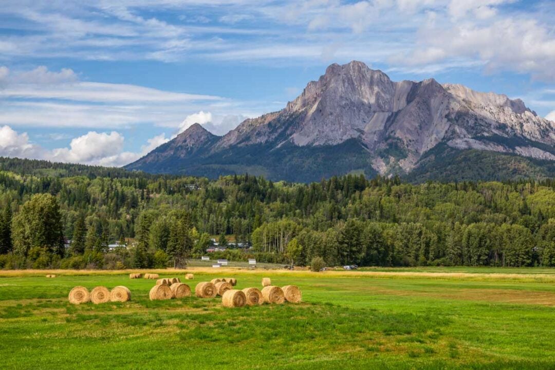33 FUN Things to do in Fernie, BC (2025 Guide!) - Destinationless Travel