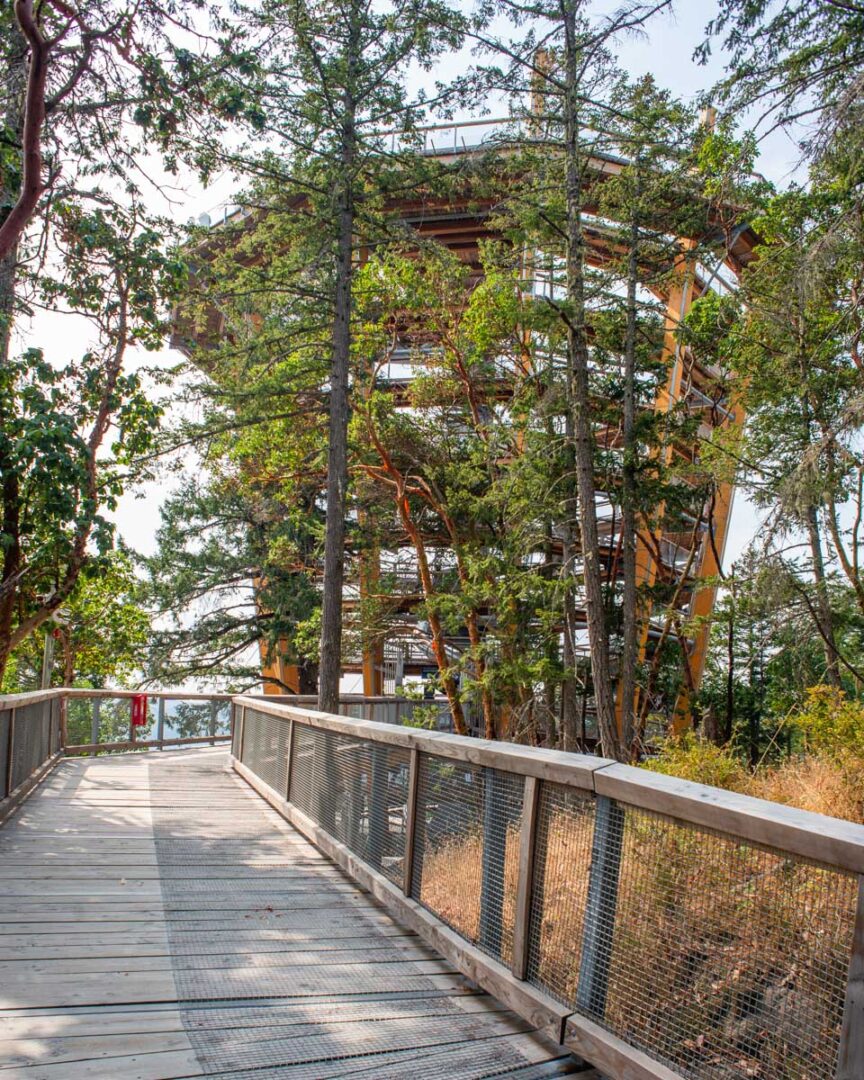 12 Things to KNOW About Visiting the Malahat Skywalk, Vancouver Island