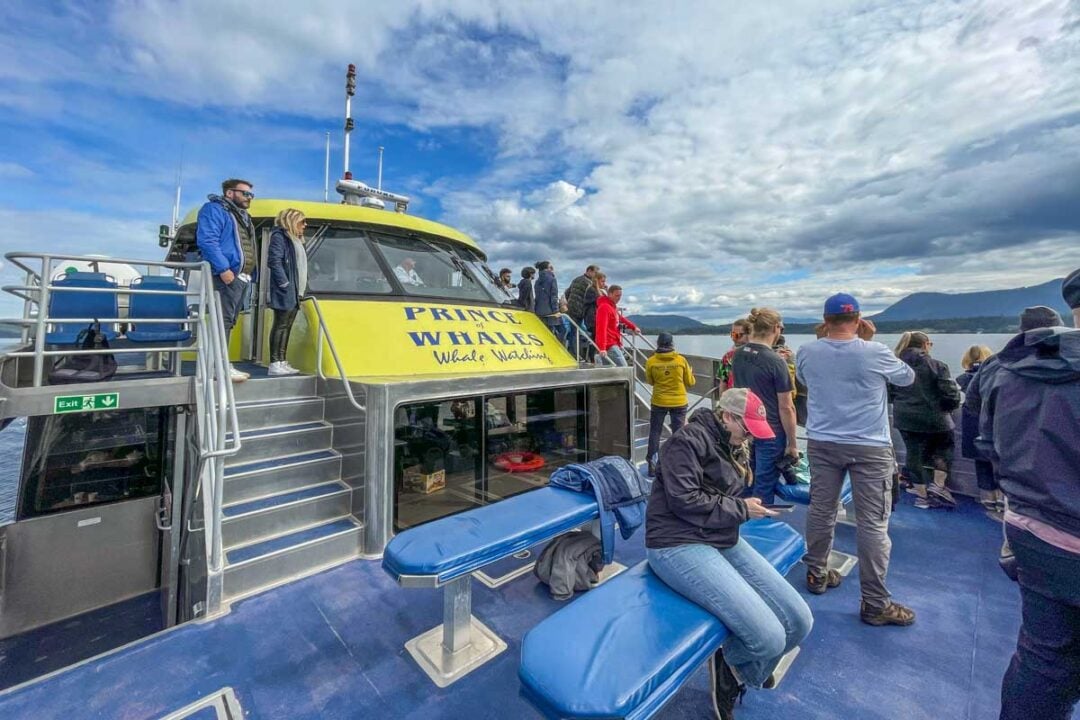 10 Things to KNOW about Whale Watching in Victoria +the BEST Tours