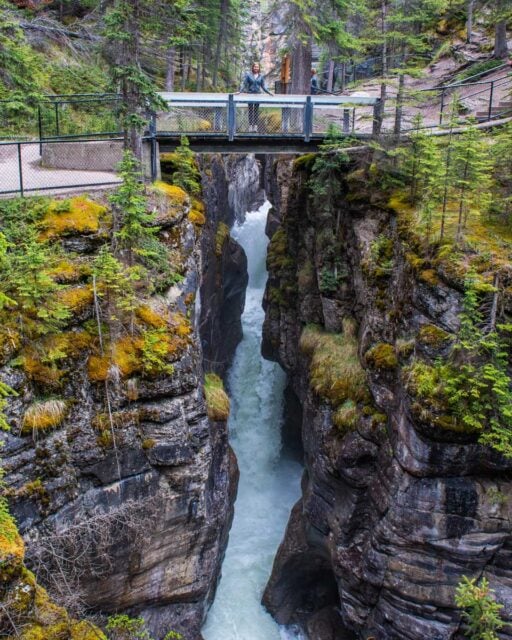 5 BEST Maligne Lake Tours in Jasper +Our Favorite Tour and Review ...