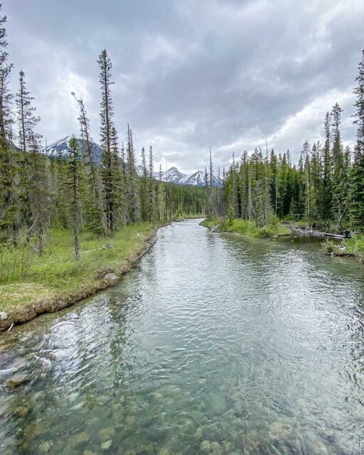 10 Absolute EASIEST Hikes in Banff (with EPIC Views!) - 2023 Guide