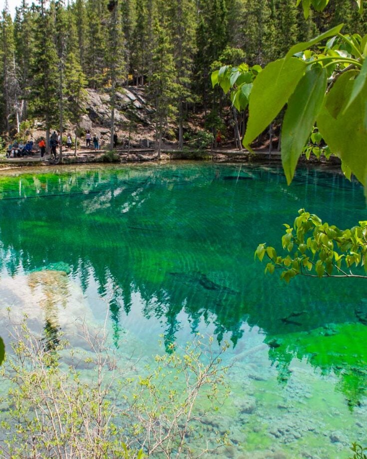 Grassi Lakes Hiking Guide – Epic Views and Crystal Clear Lakes